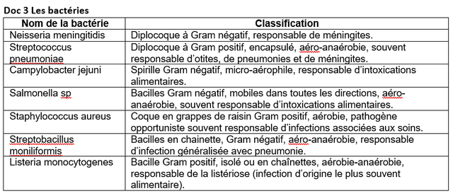 Chapitre 18 - Les bactéries