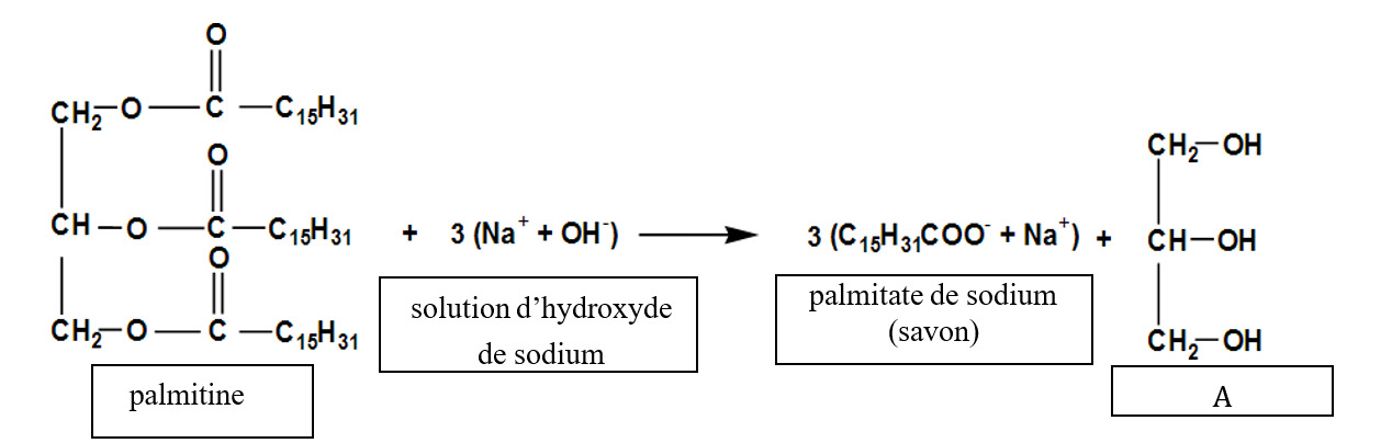 Nouvel assemblage – Chapitre 11